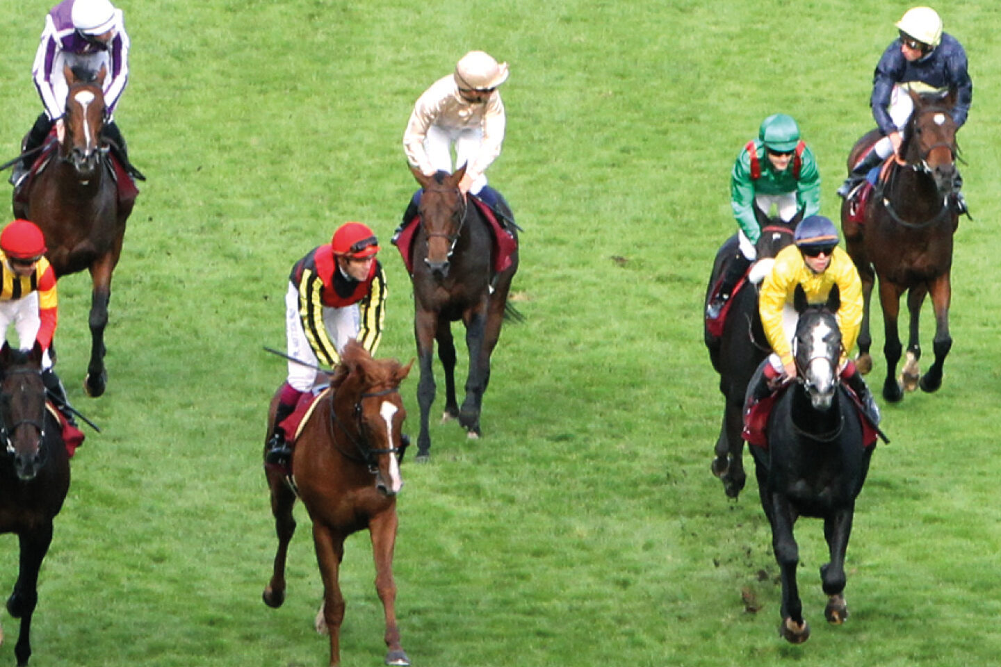 Grand Trio Ludois im Gruppe-Rennen der Größte? - WETTSTAR.news