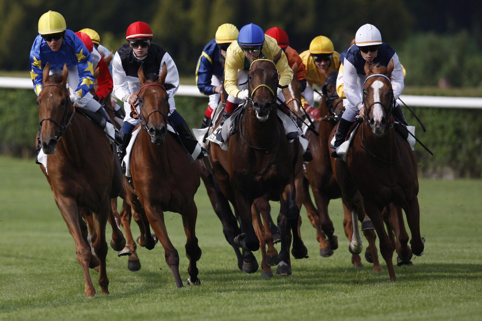 Quinté+-Wette in Chantilly mit True Tedesco - WETTSTAR.news