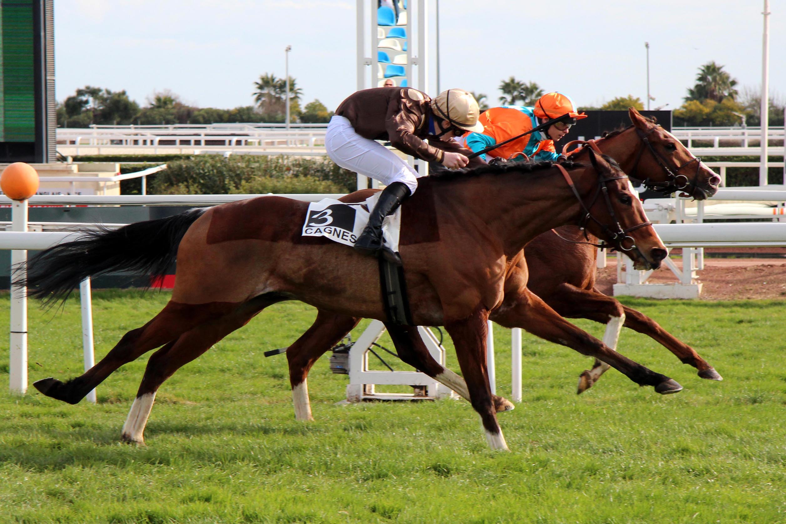 Paco mit dem nächsten Coup? - WETTSTAR.news